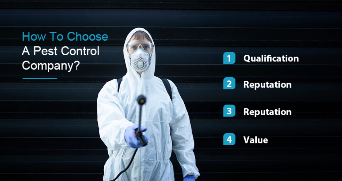 What Does Pest Control Do: A Complete Guide